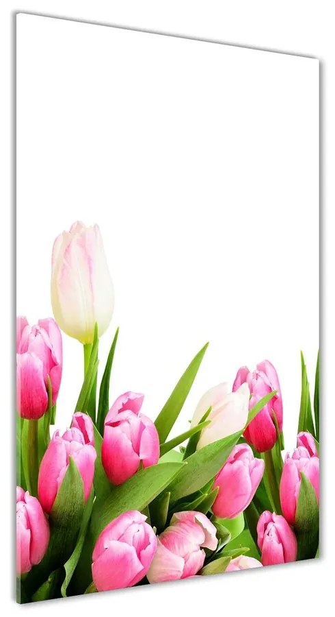 Wallmuralia Foto obraz akrylové sklo Růžové tulipány 50x100 cm