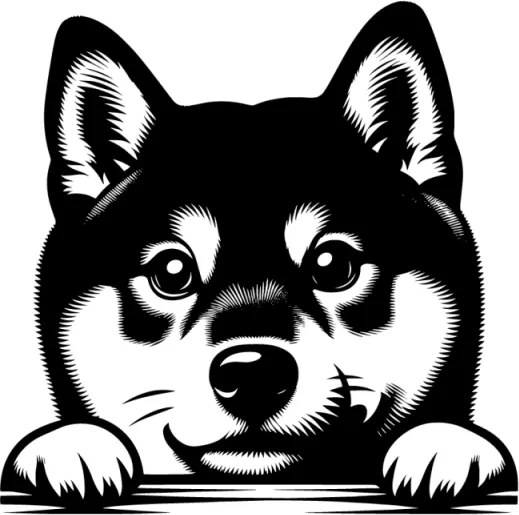 Samolepka pes Shiba-Inu