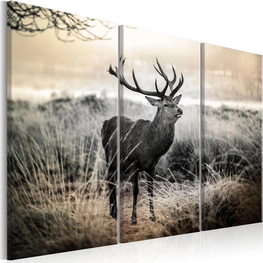 Vícedílný obraz - jelen v krajině (90x60 cm) - Murando DeLuxe