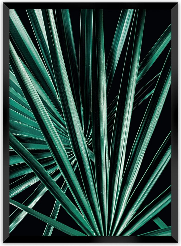 Plakát Dark Palm Tree