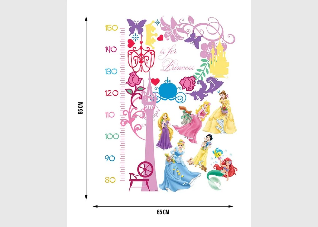 Dětská samolepka na zeď Disney Princezny – Růstová Tabulka | 65 x 85 cm | DDK893