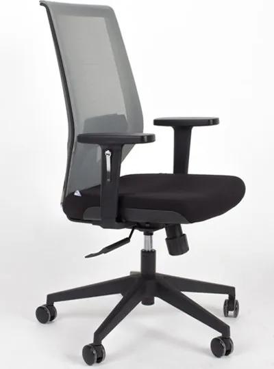 Bradop Kancelářská židle IRIS ZK09 | Provedení ZK09: SEDA - Šedá