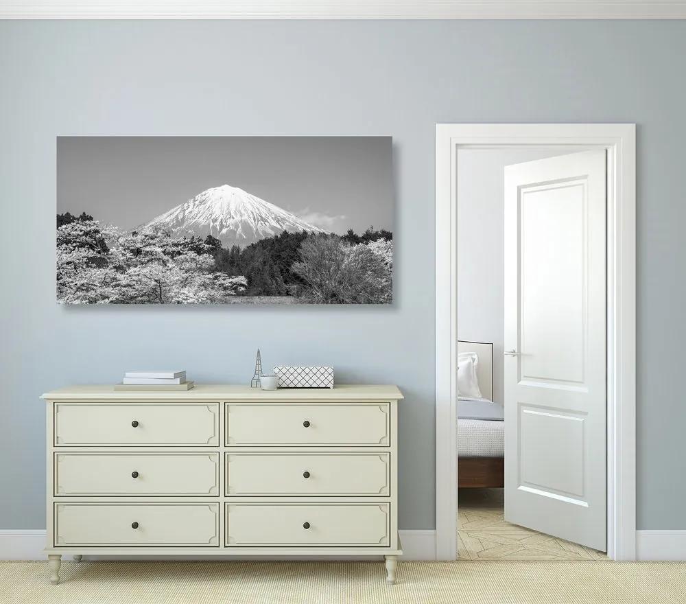 Obraz hora Fuji v černobílém provedení - 120x60 cm