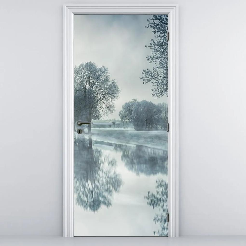Fototapeta na dveře - Zimní příroda (95x205cm)