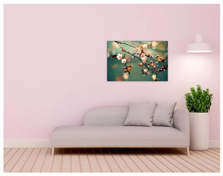 Malvis ® Obraz třešňový květ Velikost: 90x60 cm