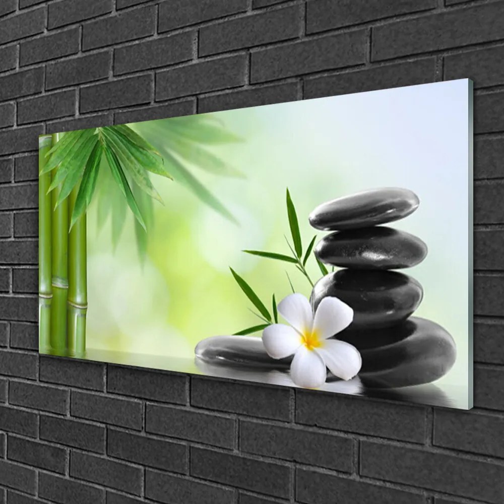 Obraz na skle Bambus Stonek Květ Rostlina 100x50 cm