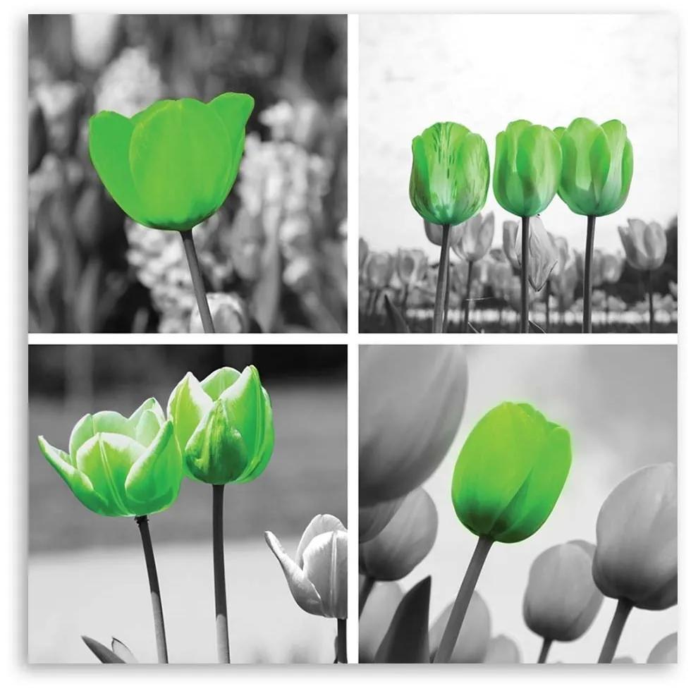 Obraz na plátně Sada zelených tulipánů - 50x50 cm