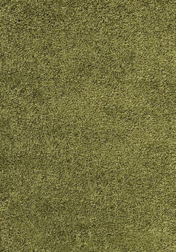 Hans Home | Kusový koberec Dream Shaggy 4000 green - 120x170