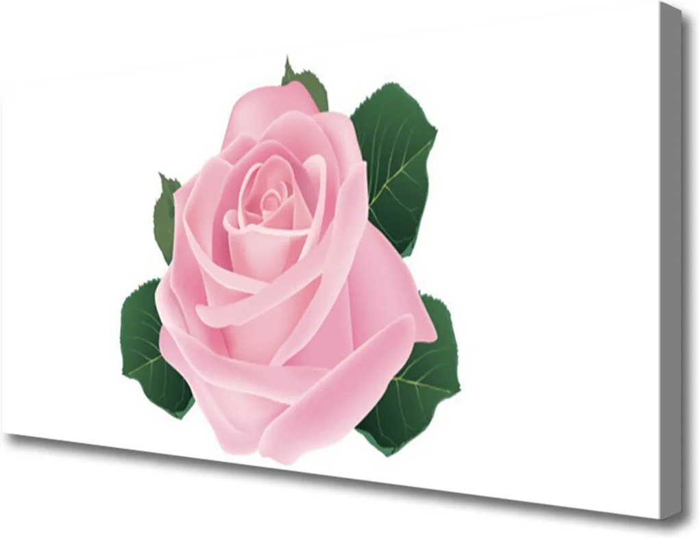 Obraz na plátně Růže Květ Rostlina