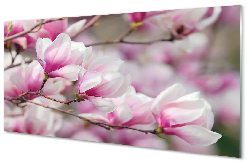 Obraz na skle květy 125x50 cm