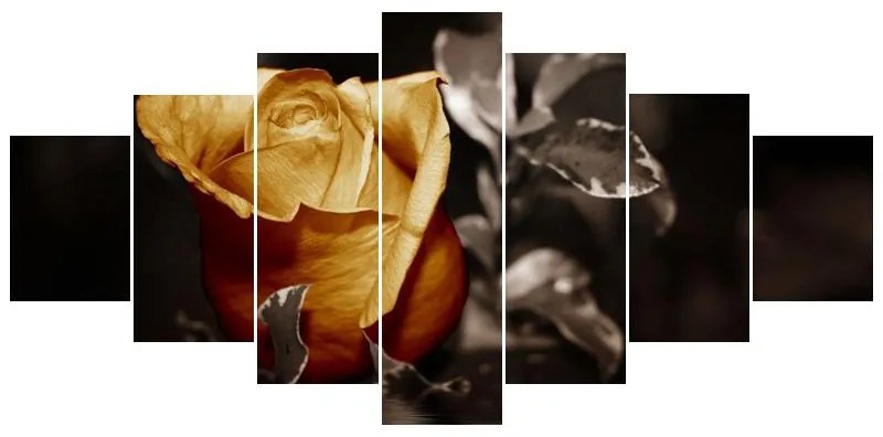 Obraz květu zlaté růže (210x100 cm), 40 dalších rozměrů