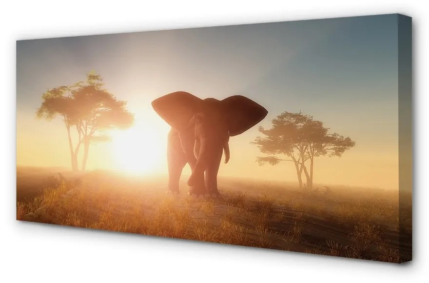 Obrazy na plátně Sloní strom na východ 120x60 cm