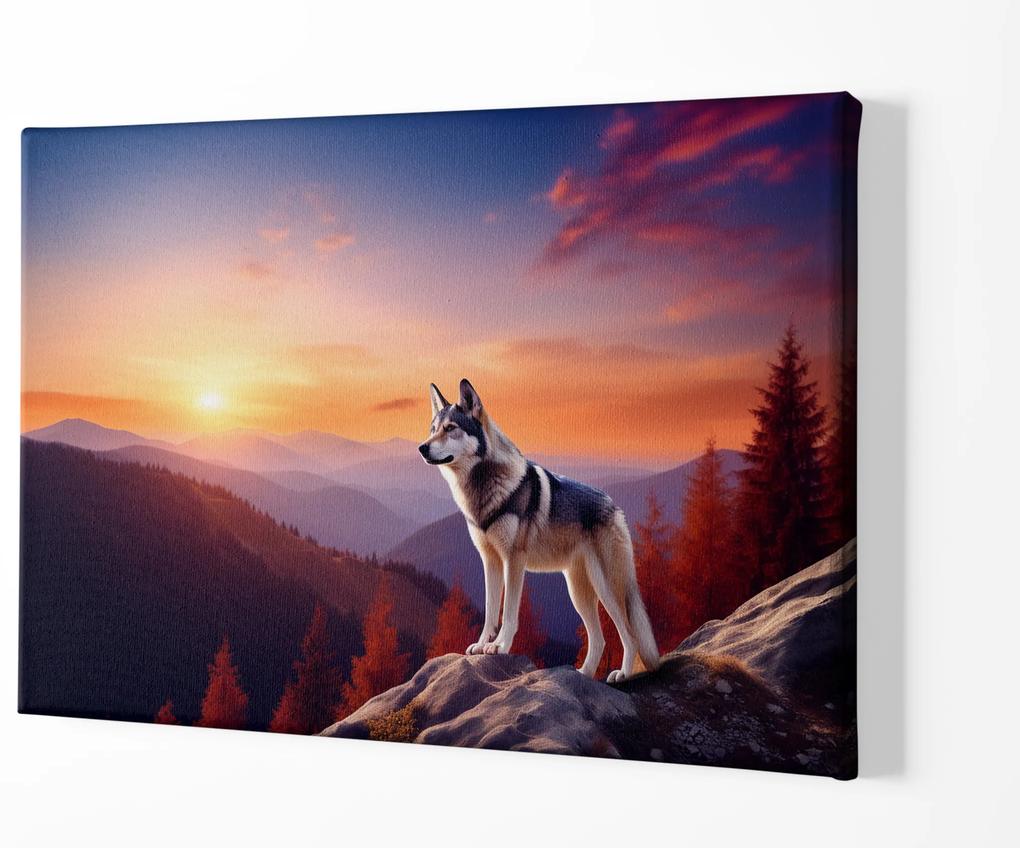Obraz na plátně - Vlk na skále s magickým západem slunce FeelHappy.cz Velikost obrazu: 150 x 100 cm