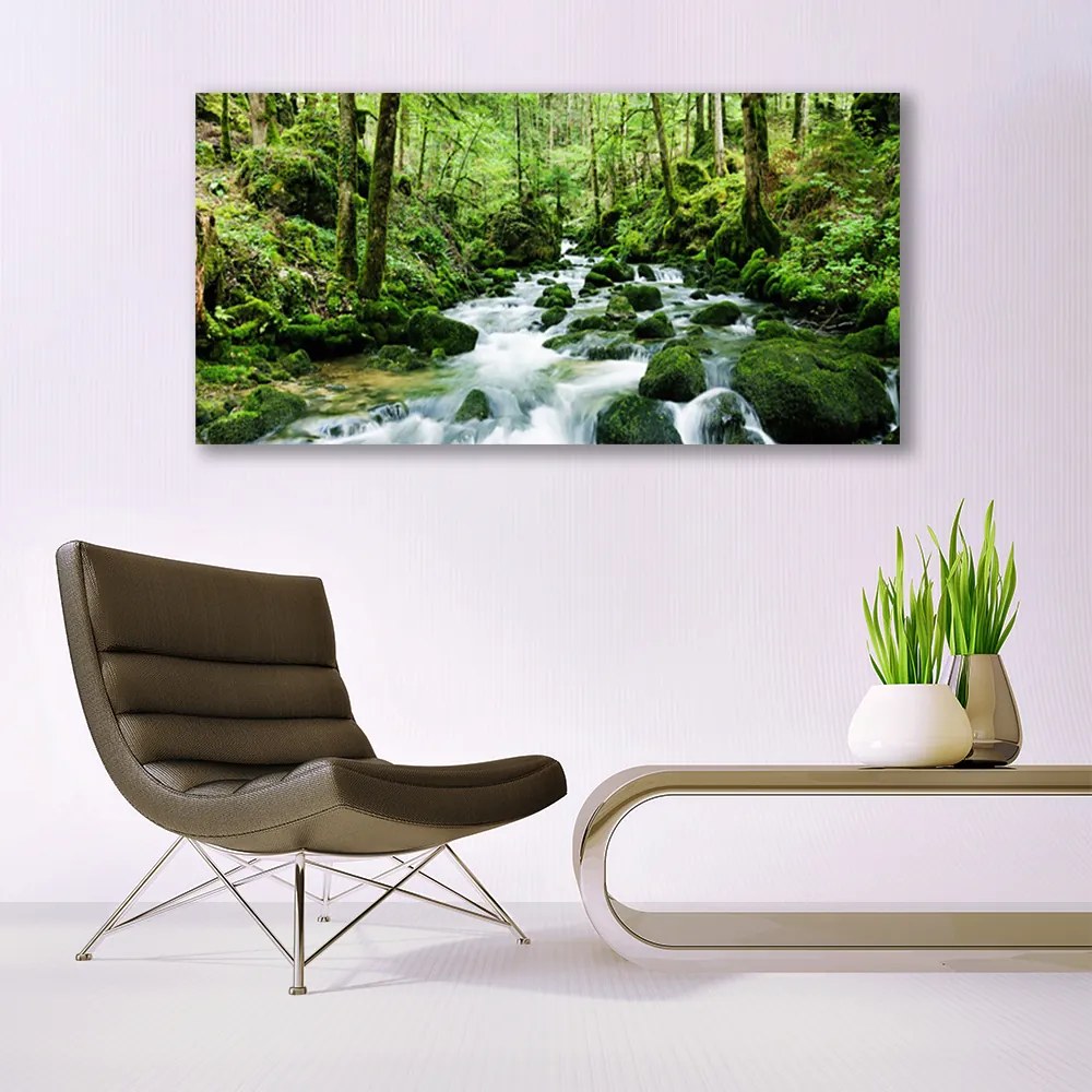 Plexisklo-obraz Les Potok Vodopády Řeka 120x60 cm