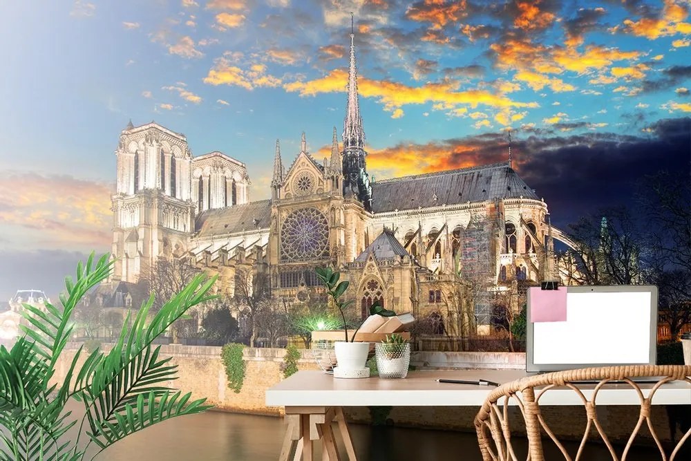 Fototapeta katedrála Notre Dame - 225x150 cm