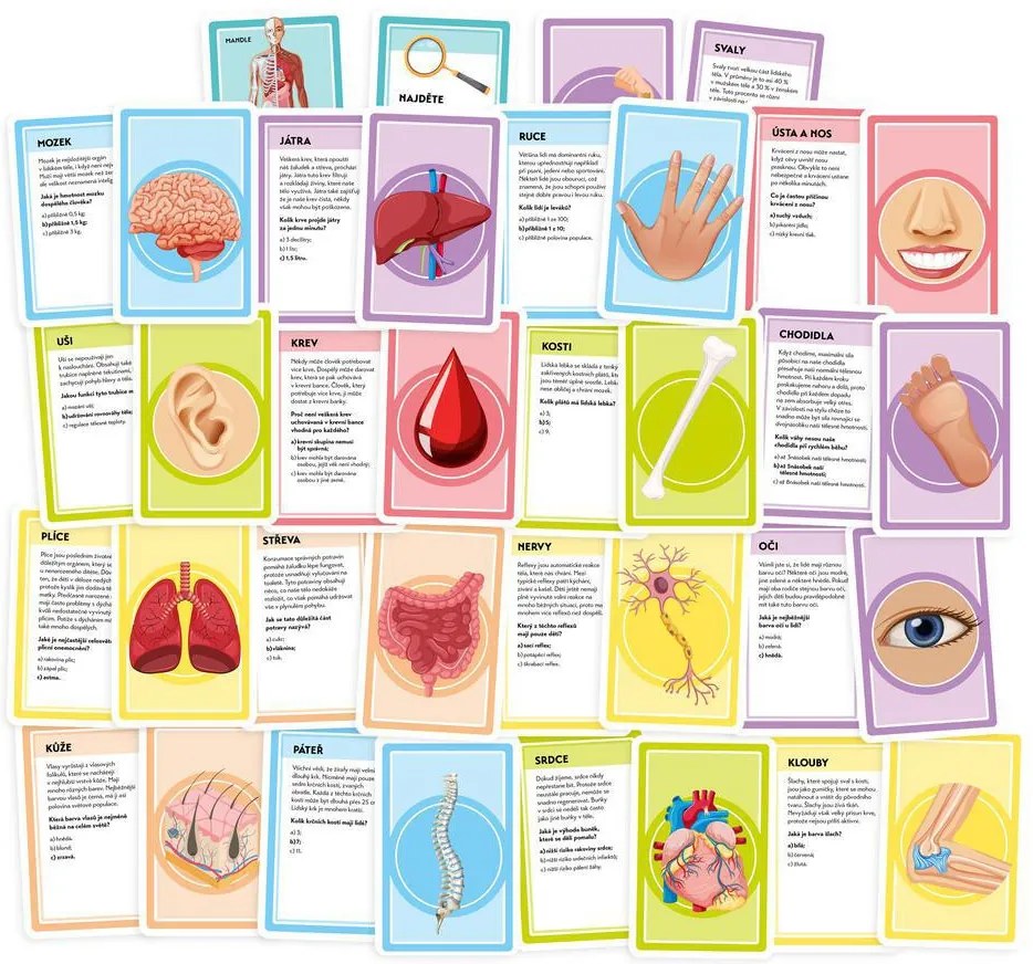 Tactic Pojďme se učit: Naše úžasné tělo