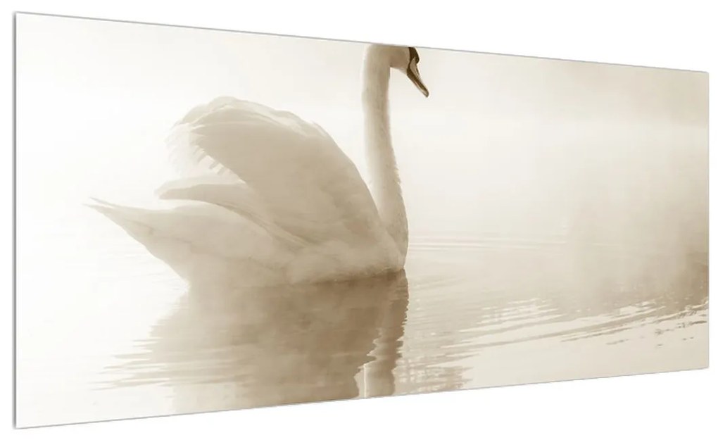 Obraz labutě (100x40 cm)