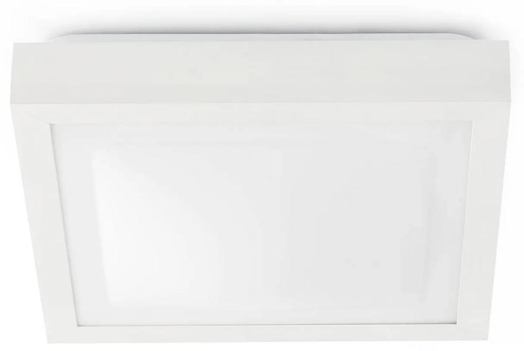 Koupelnové stropní světlo Tola, 27 x 27 cm, bílá
