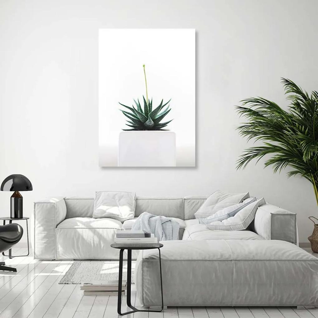 Obraz na plátně Zátiší Rostliny Příroda - 60x90 cm