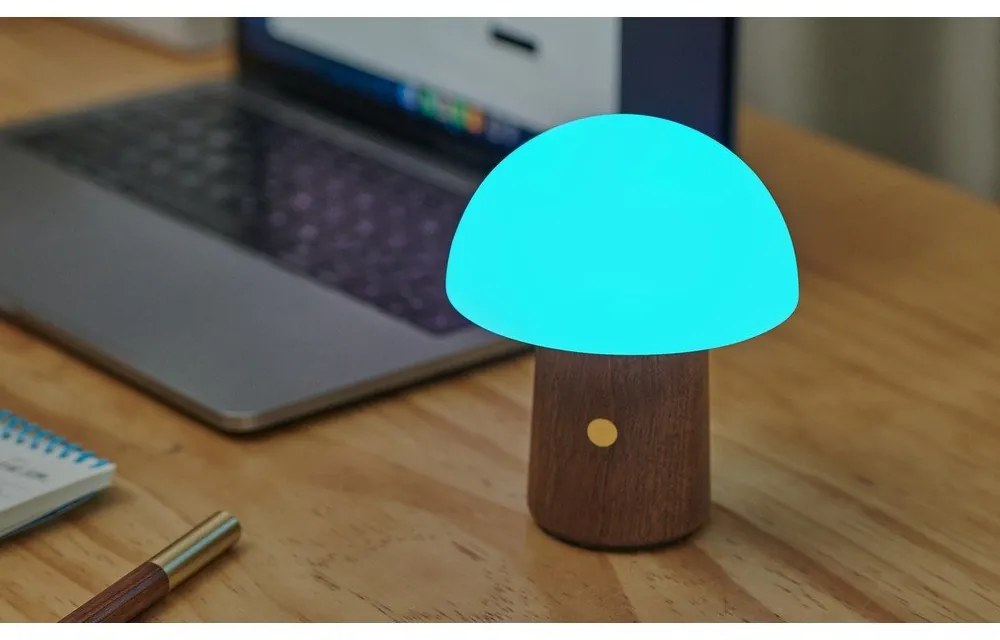 Bílá/v tmavě přírodní barvě LED stolní lampa (výška 12,5 cm) Alice Mushroom – Gingko