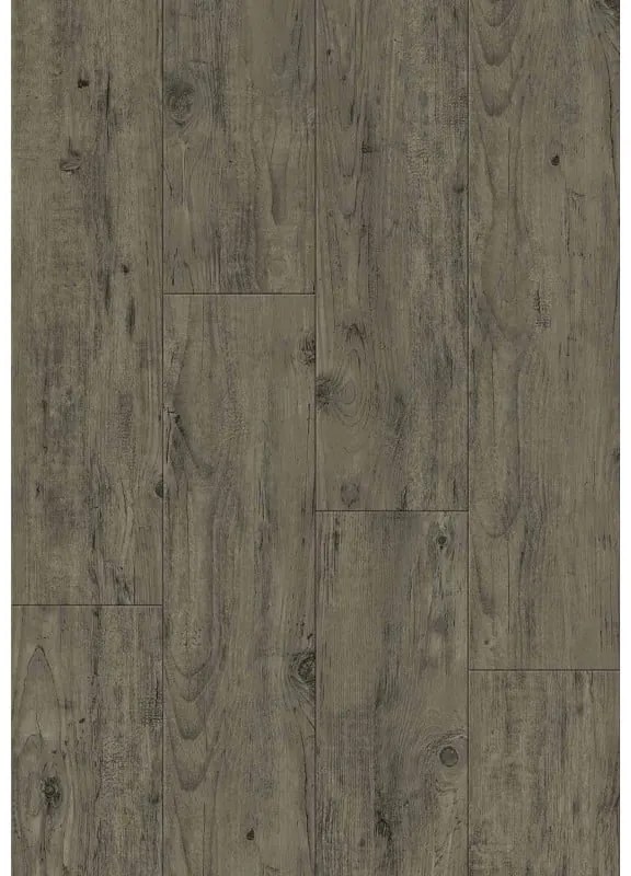 Mexen Long Beach vinylové panely 1240 x 182 mm SPC 6,5 mm, podložka IXPE 1,5 mm, 4 V-Fuga, Borovice