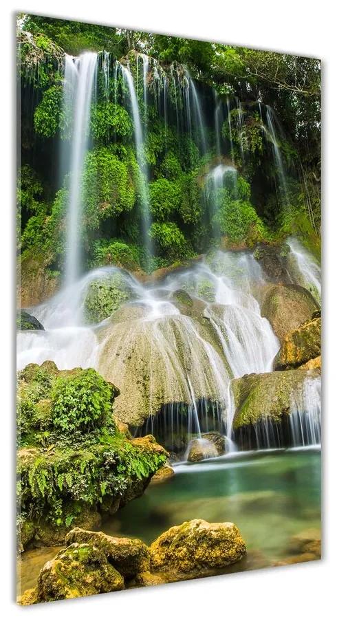 Wallmuralia Foto obraz akrylový Vodopád v džungli 60x120 cm