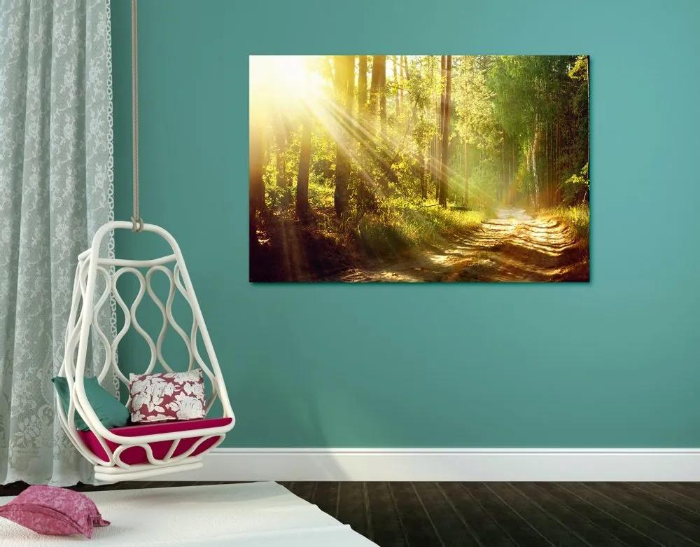 Obraz sluneční paprsky v lese - 120x80 cm