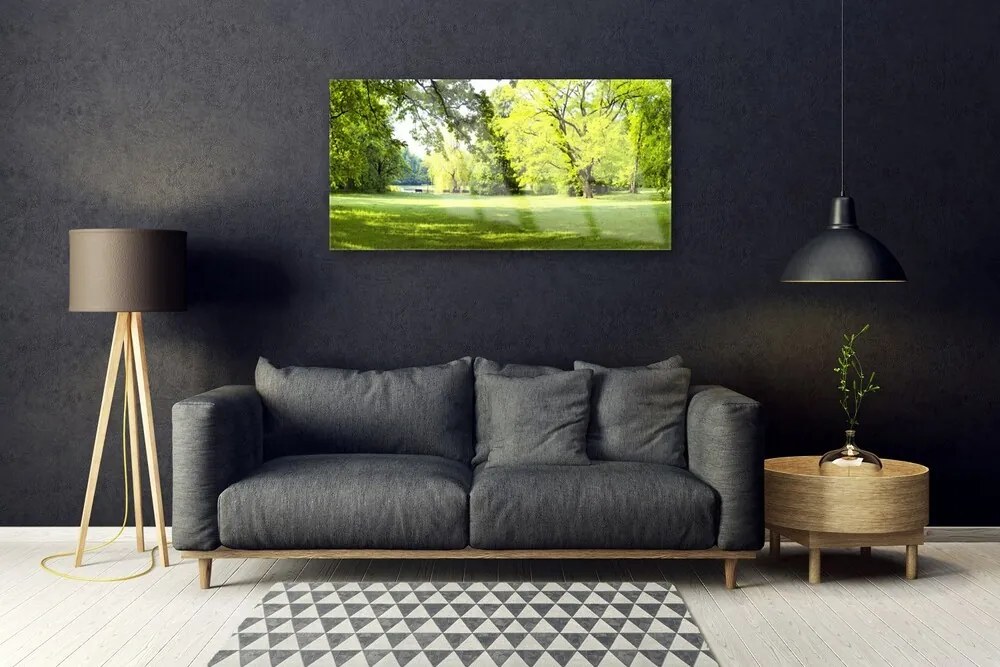 Obraz na skle Tráva Stromy Park Příroda 120x60 cm