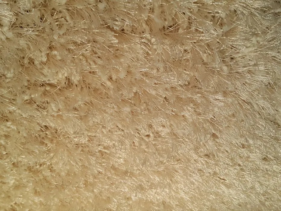 Vopi | Kusový koberec Pleasure 01EWE - 80 x 250 cm, béžový