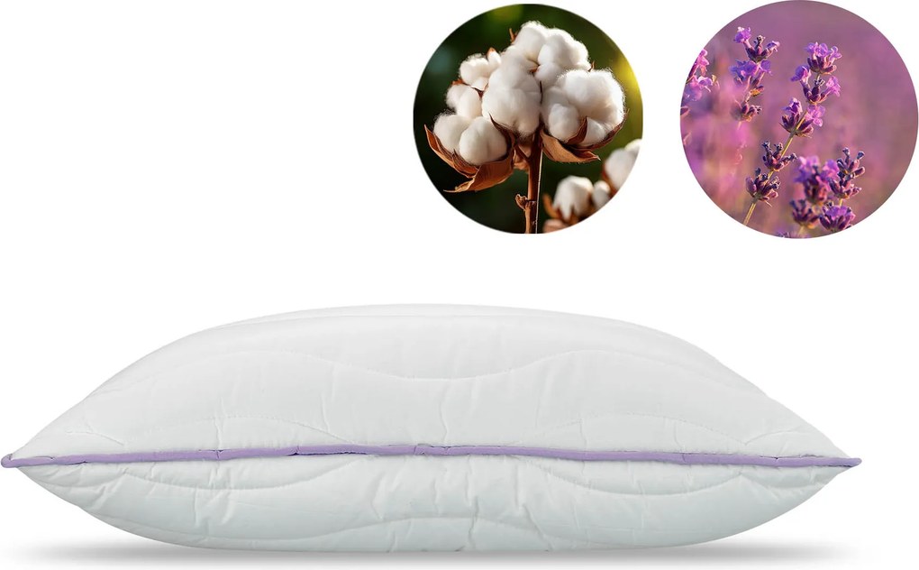 Dormeo Lavender Premium klasický polštář 50x70 cm 50x70 cm