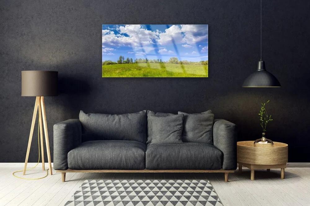 akrylový obraz Louka Tráva Nebe Krajina 100x50 cm