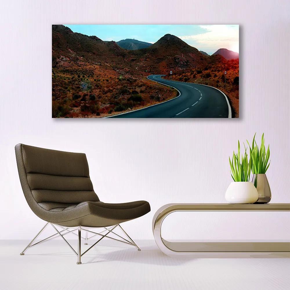 Plexisklo-obraz Cesta Hory Poušť 120x60 cm