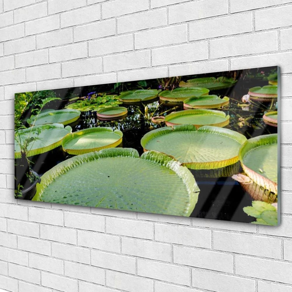 Plexisklo-obraz Listy Jezero Příroda 125x50 cm