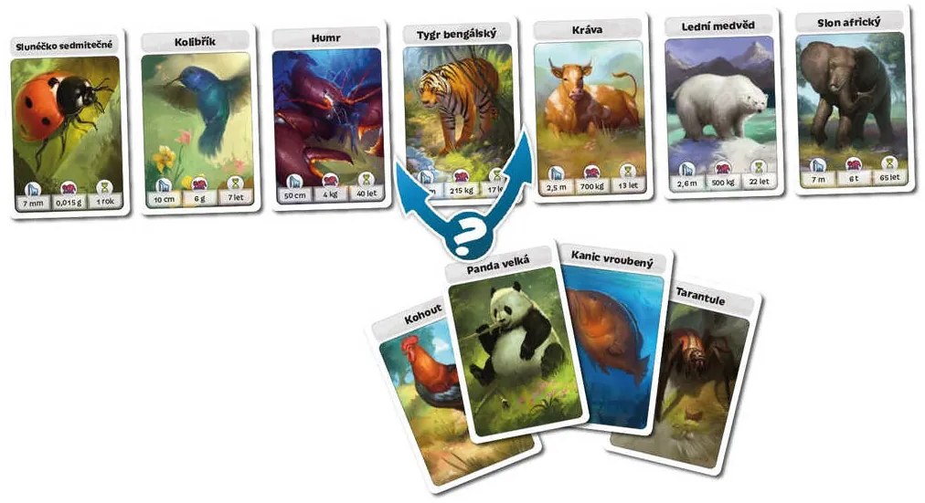 _Ostatní 1_ ADC Hra Cardline: Svět zvířat *SPOLEČENSKÉ HRY* mcardanimcz