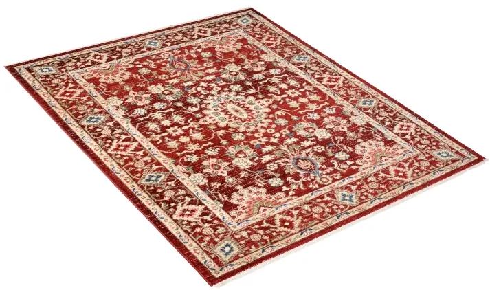 Luxusní kusový koberec Rosalia RV0120 - 200x305 cm