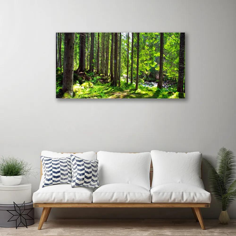 Obraz na plátně Les Stromy Rostlina Příroda 100x50 cm