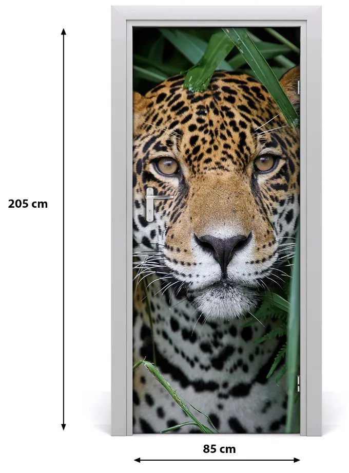 Fototapeta samolepící na dveře Amazonie jaguár 85x205 cm