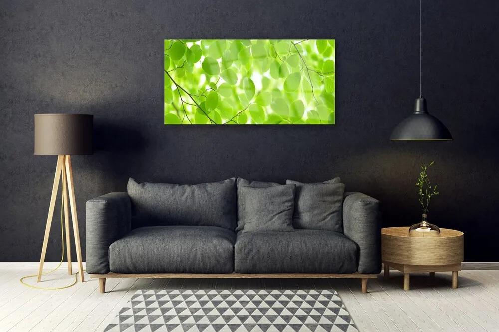 Obraz na skle Listy Příroda 140x70 cm