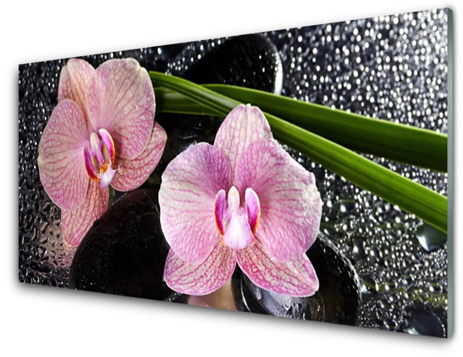 Obraz na skle Květiny Orchidej Kameny Zen 100x50 cm