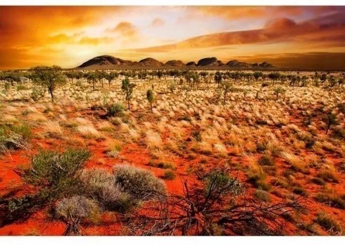 DIMEX | Samolepicí vliesová fototapeta na zeď Austrálie MA-5-0050 | 375 x 250 cm | zelená, žlutá, oranžová, hnědá