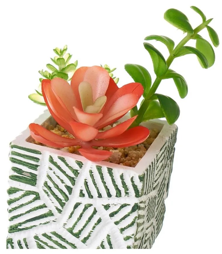 Umělé rostliny v sadě 3 ks (výška 12 cm) Cactus – Casa Selección