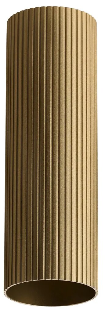 Minimalistická bodová svítidlo Lucas Ribbed Tube 50 zlatá