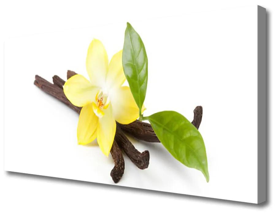 Obraz na plátně Vanilka Listy Rostlina 140x70 cm
