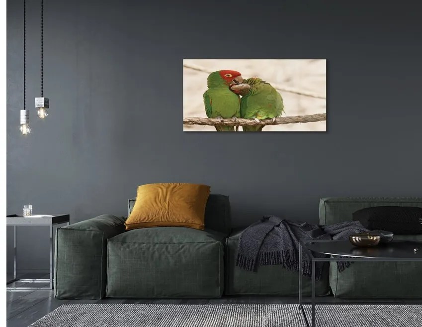 Obraz na skle zelené papoušci 120x60 cm