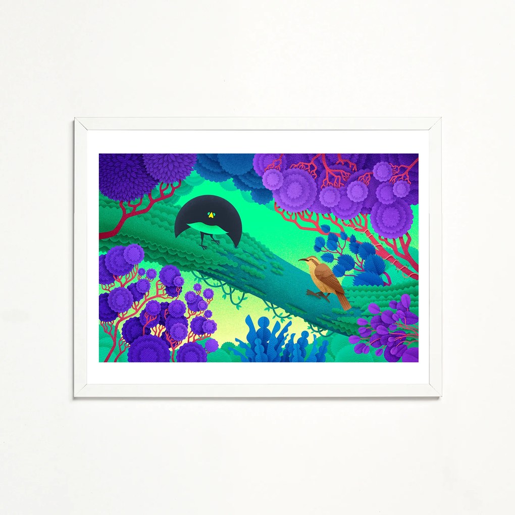 Dávid Soboň | Dancing Bird of Paradise Rám: Černý, Velikost: 30 x 40 cm