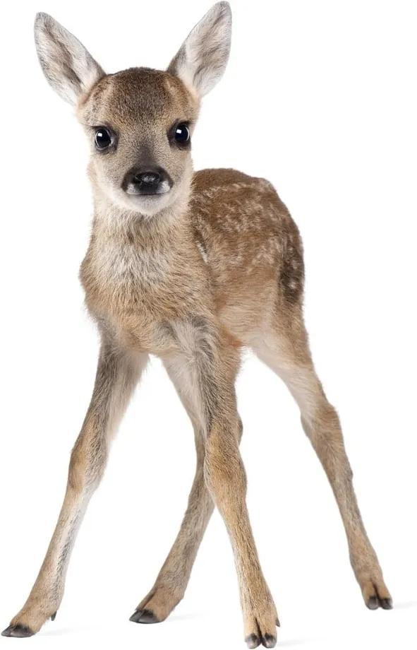 Nástěnná samolepka Dekornik Deer Lucy, 72 x 115 cm
