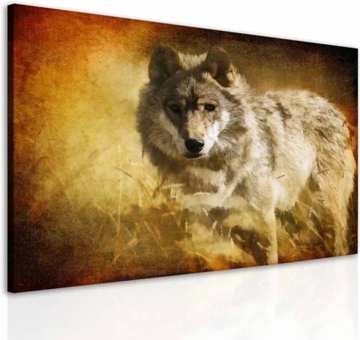 Obraz snový vlk (25x20 cm) - InSmile ®