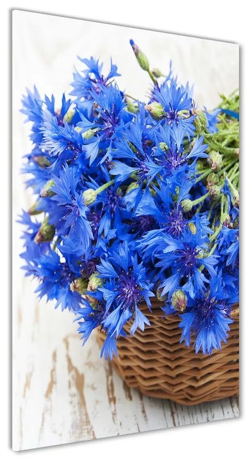 Wallmuralia Foto obraz akryl do obýváku Květiny v koši 70x140 cm