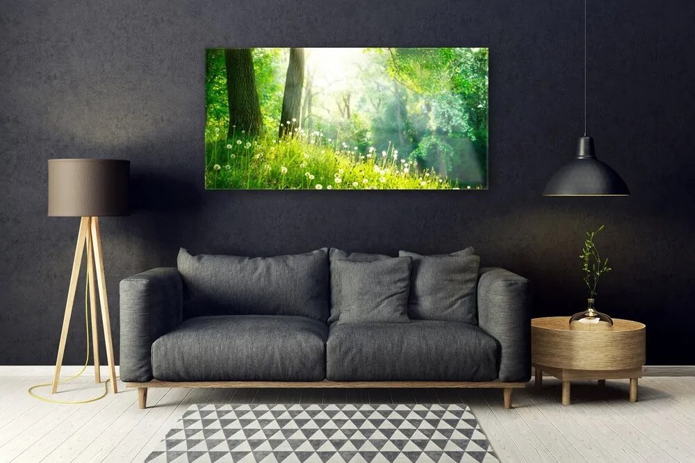 akrylový obraz Louka Příroda Rostlina 120x60 cm