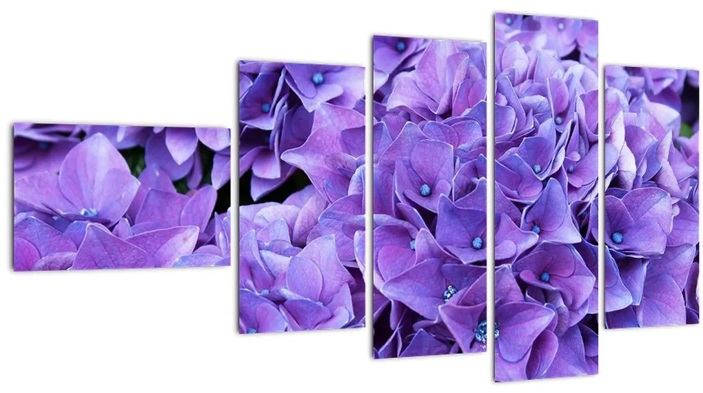 Obraz fialových květin (110x60 cm), 40 dalších rozměrů